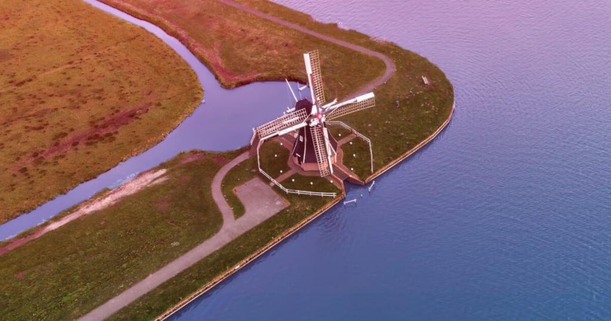 Kennis - Pels Rijcken